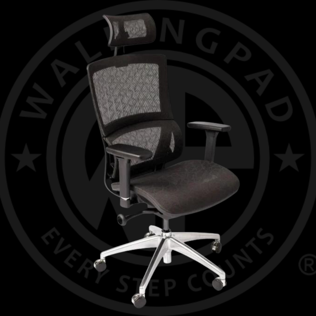 WP Beta Ergonomic Home Office Chair – Walkingpadsa